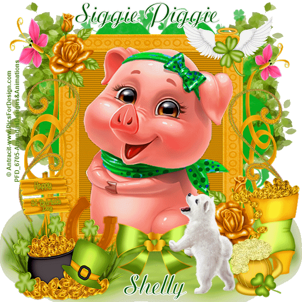 20 Antracit St Pat Pretty Pig Shelly — Postimages