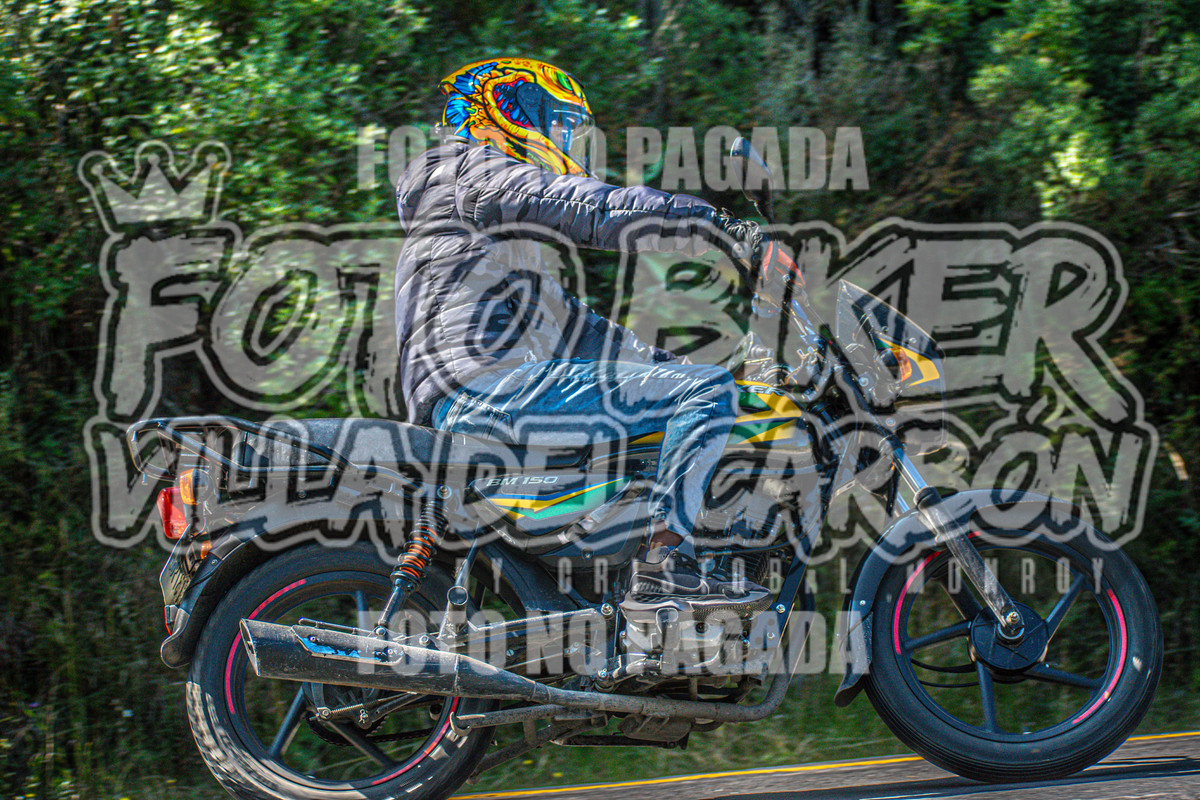 C1P1 344 — Postimages