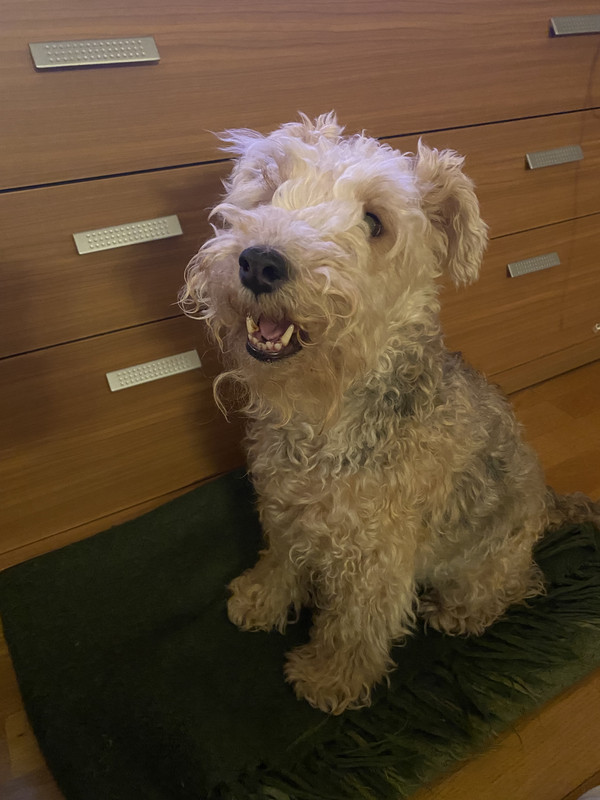 IMG 1825 — Postimages