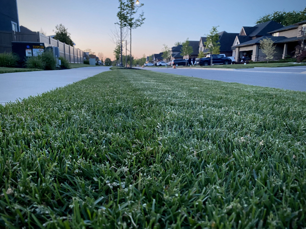 IMG 0773 — Postimages