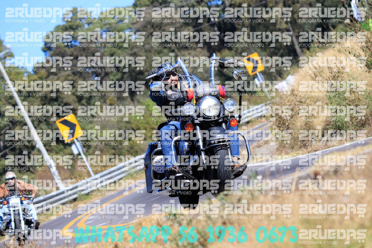 MG 0245 — Postimages