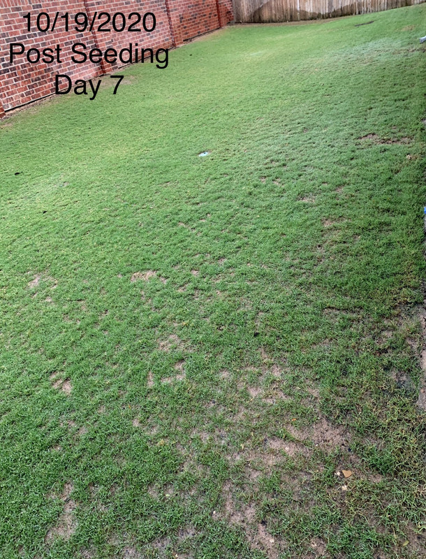Grass Progression (4) — Postimages