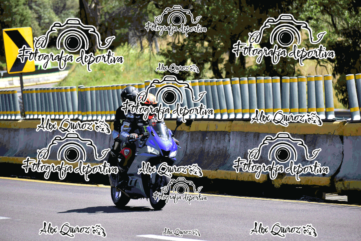 AVQ 6995 — Postimages