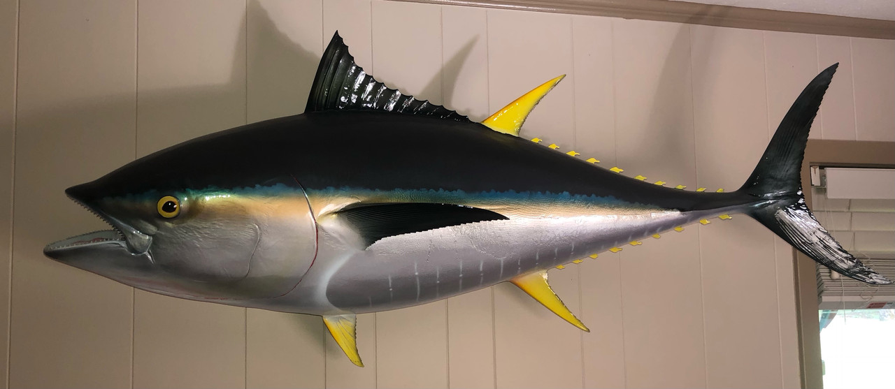 Ever had fresh fish? > General Discussion > AR15.COM