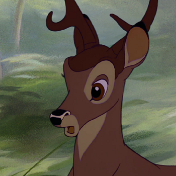 Animash Pairing Generator