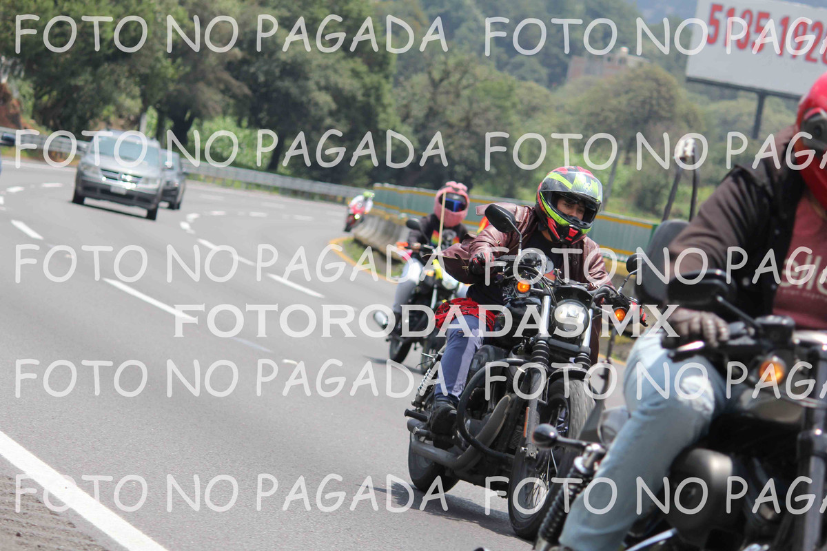 IMG 8785 — Postimages