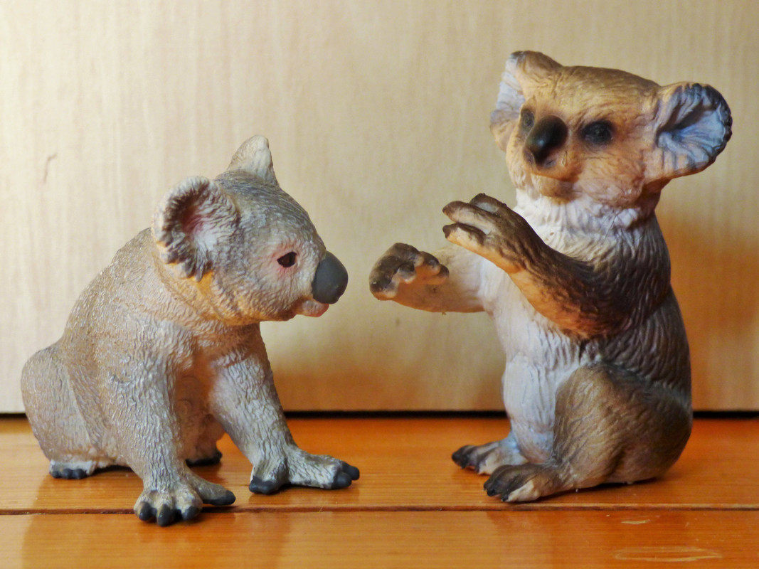 Koala subspecies and Schleich figures