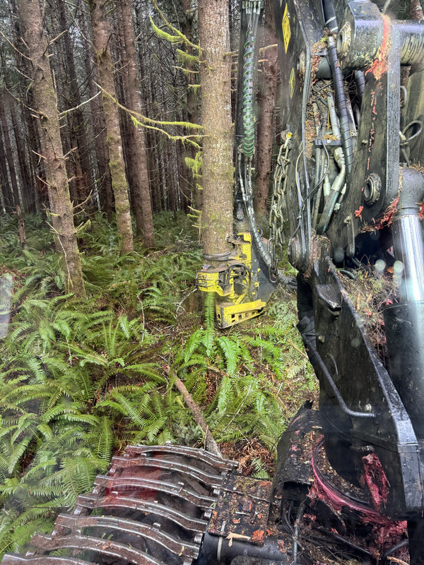 IMG 2585 — Postimages