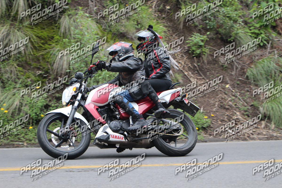 IMG 3102 wm 1550610 4 watermarked — Postimages