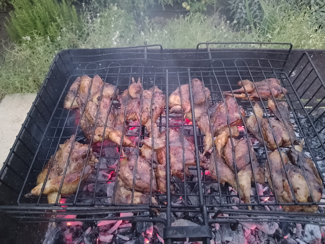 IMG 20230820 193507 — Postimages