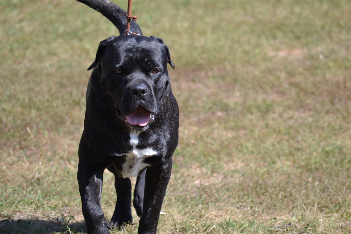 DSC 0376 — Postimages