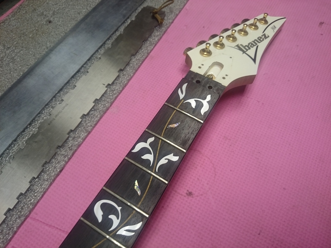 DSC 3626 — Postimages