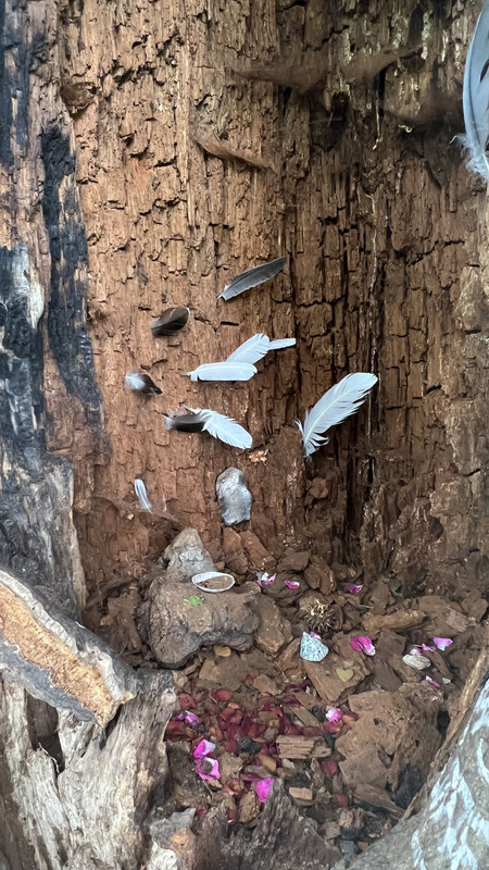 IMG 6035 — Postimages