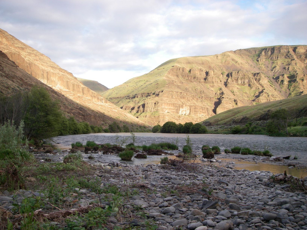 Soft boo 2019 Scene — Postimages