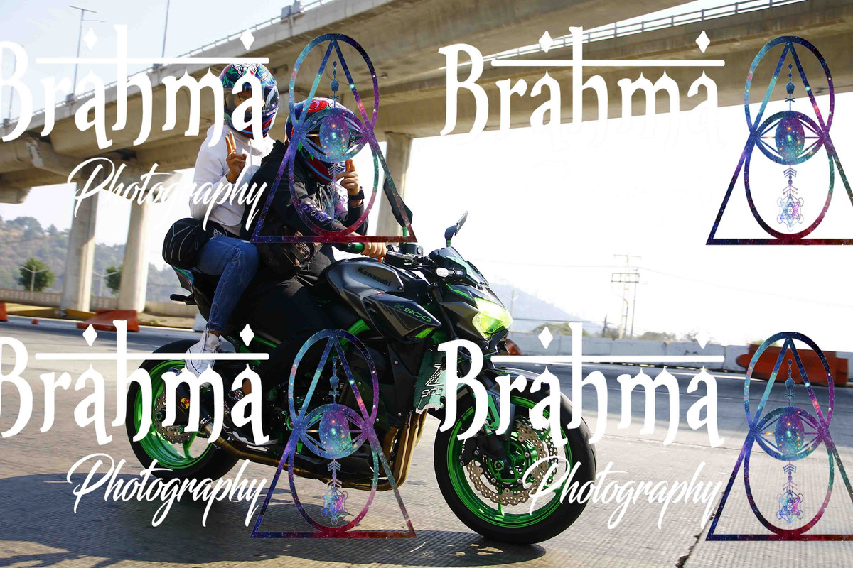 MG 0310 — Postimages