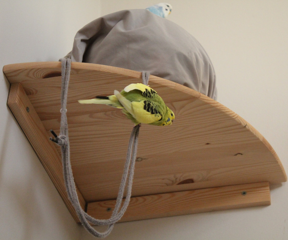 20240111164252 img 2547 — Postimages