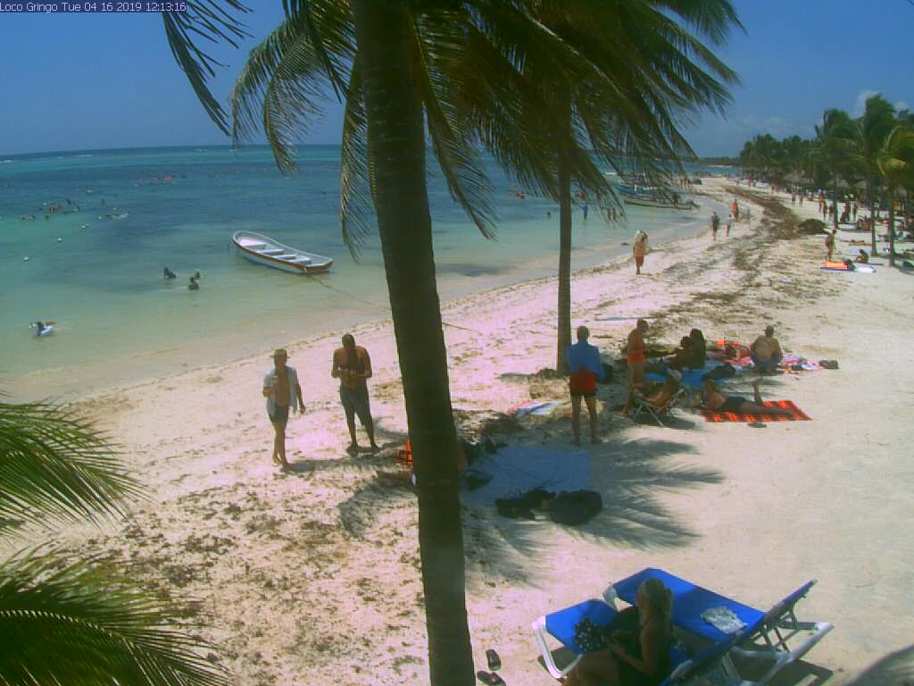 Camaras en vivo, PDC, Tulum, Cancun, Cozumel, Sargazo: Foro de Playa ...