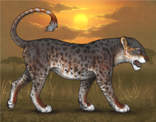 Winia — Postimages