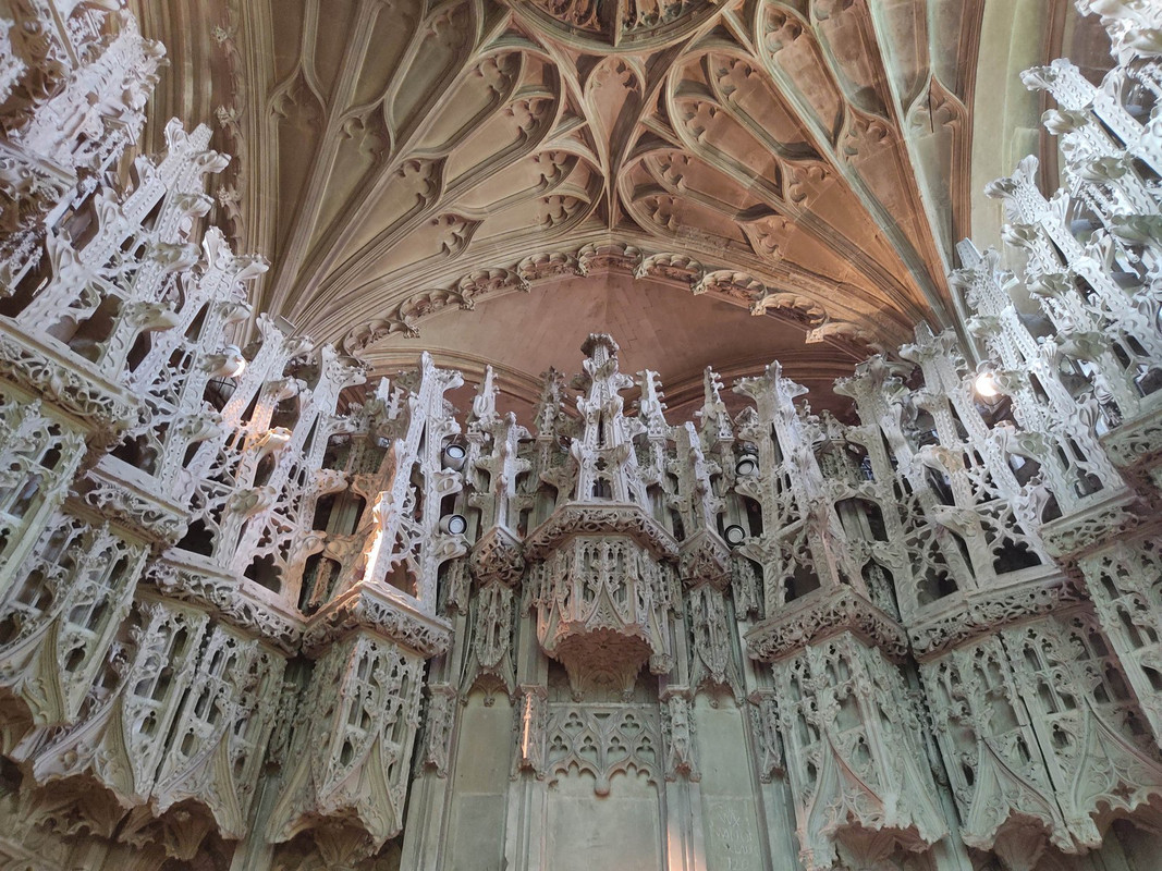 IMG 20211009 125607 1600 1200 — Postimages