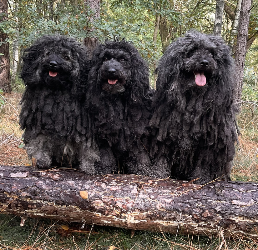 F59 EFA9 B 3643 4151 8 BBB DC254 BF98 BC5 — Postimages