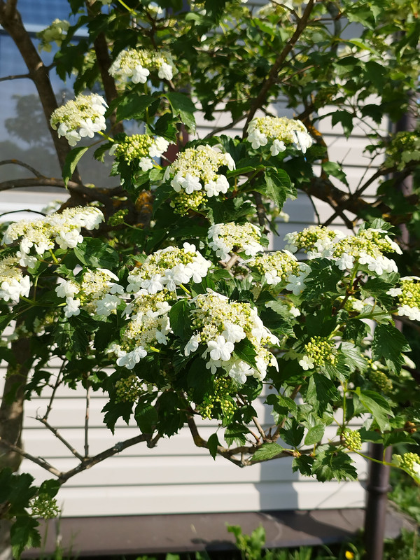 IMG 20240601 083047 — Postimages