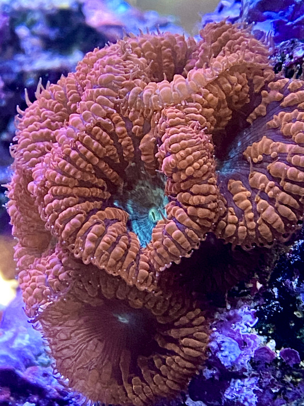 IMG 0154 — Postimages