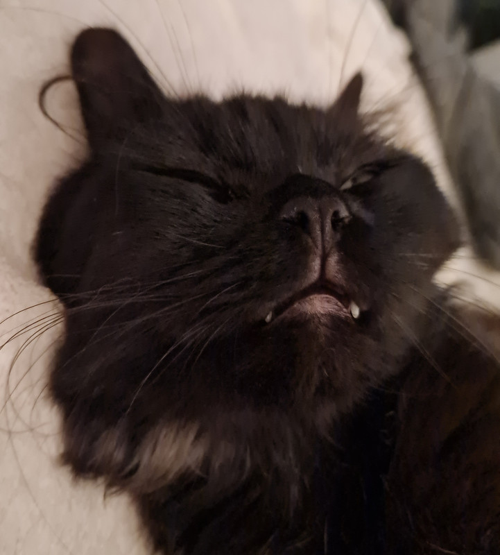 20240812 213913 — Postimages