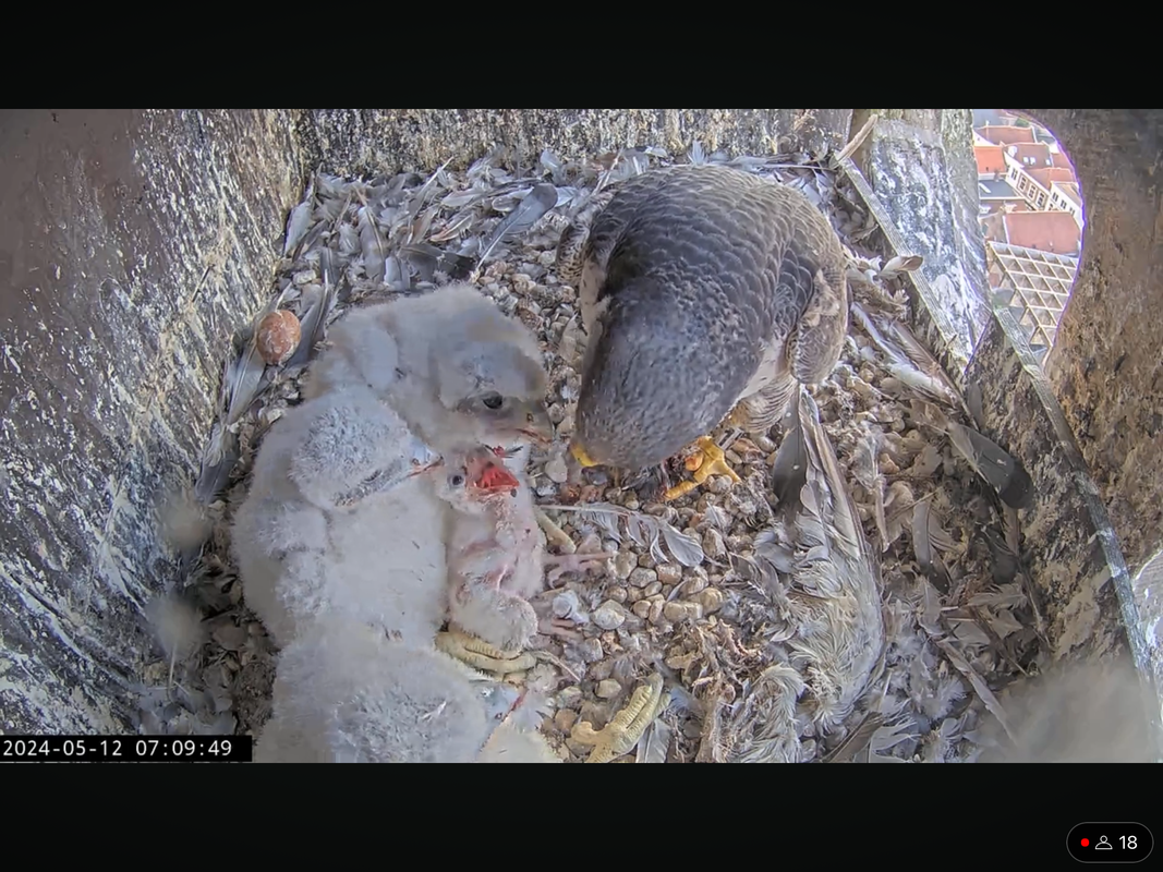 IMG 0773 — Postimages