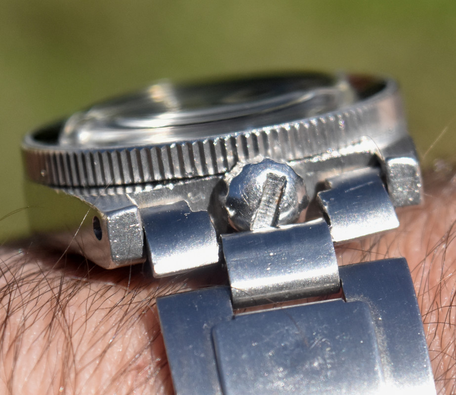 DSC 1384 — Postimages