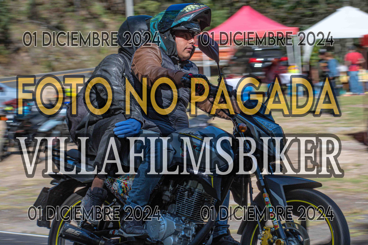 Album — Postimages