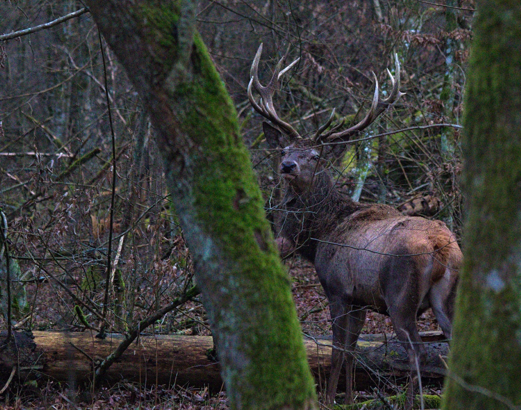 IMG 7258 Edited — Postimages