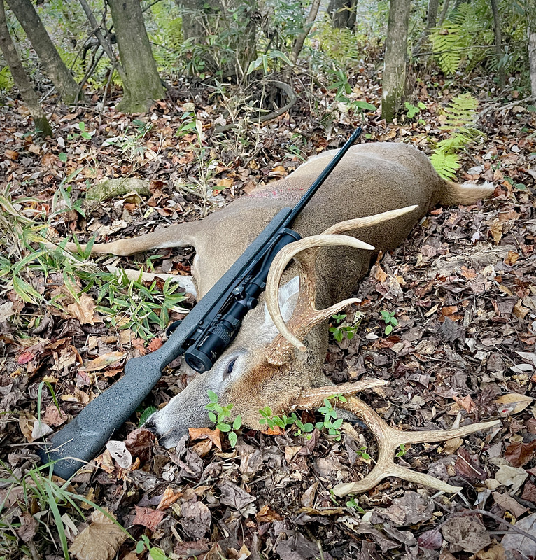 Best built 280 AI rifle? - 24hourcampfire