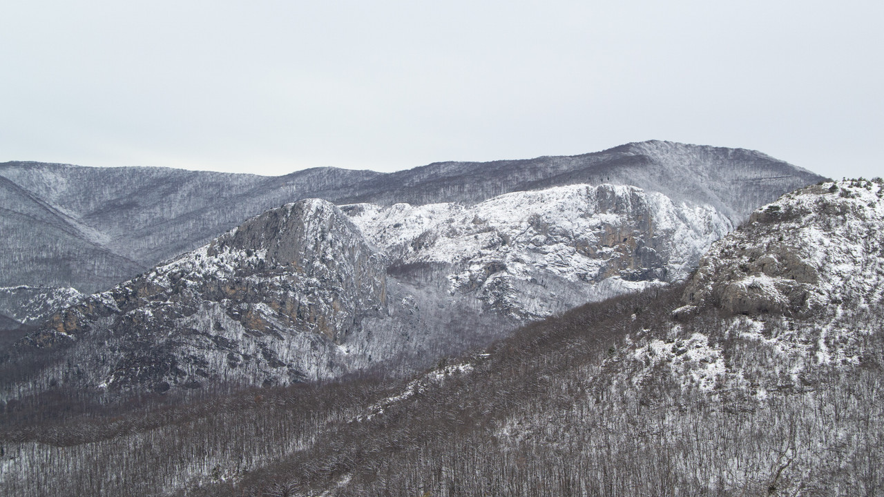 DSC 0309 — Postimages