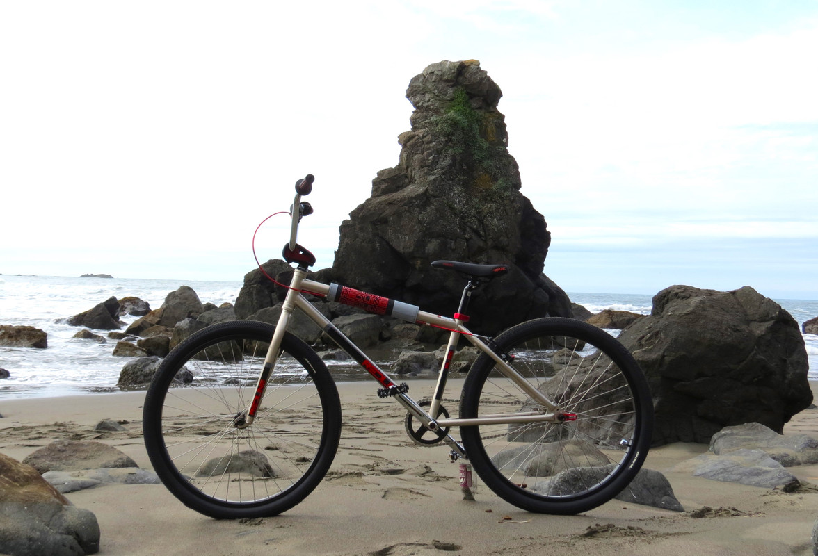 IMG 1973 — Postimages