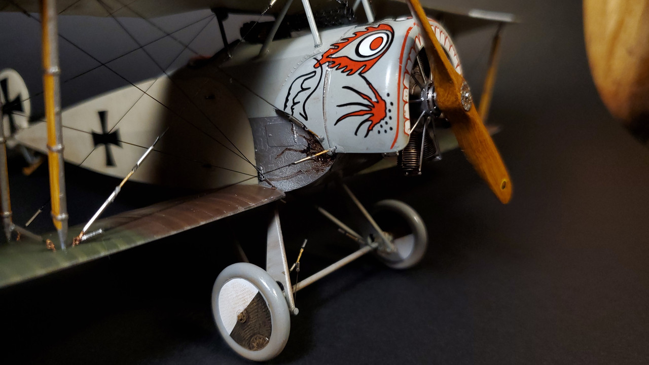 1/32 Special Hobby Fokker D.II - Ready for Inspection - Large Scale Planes