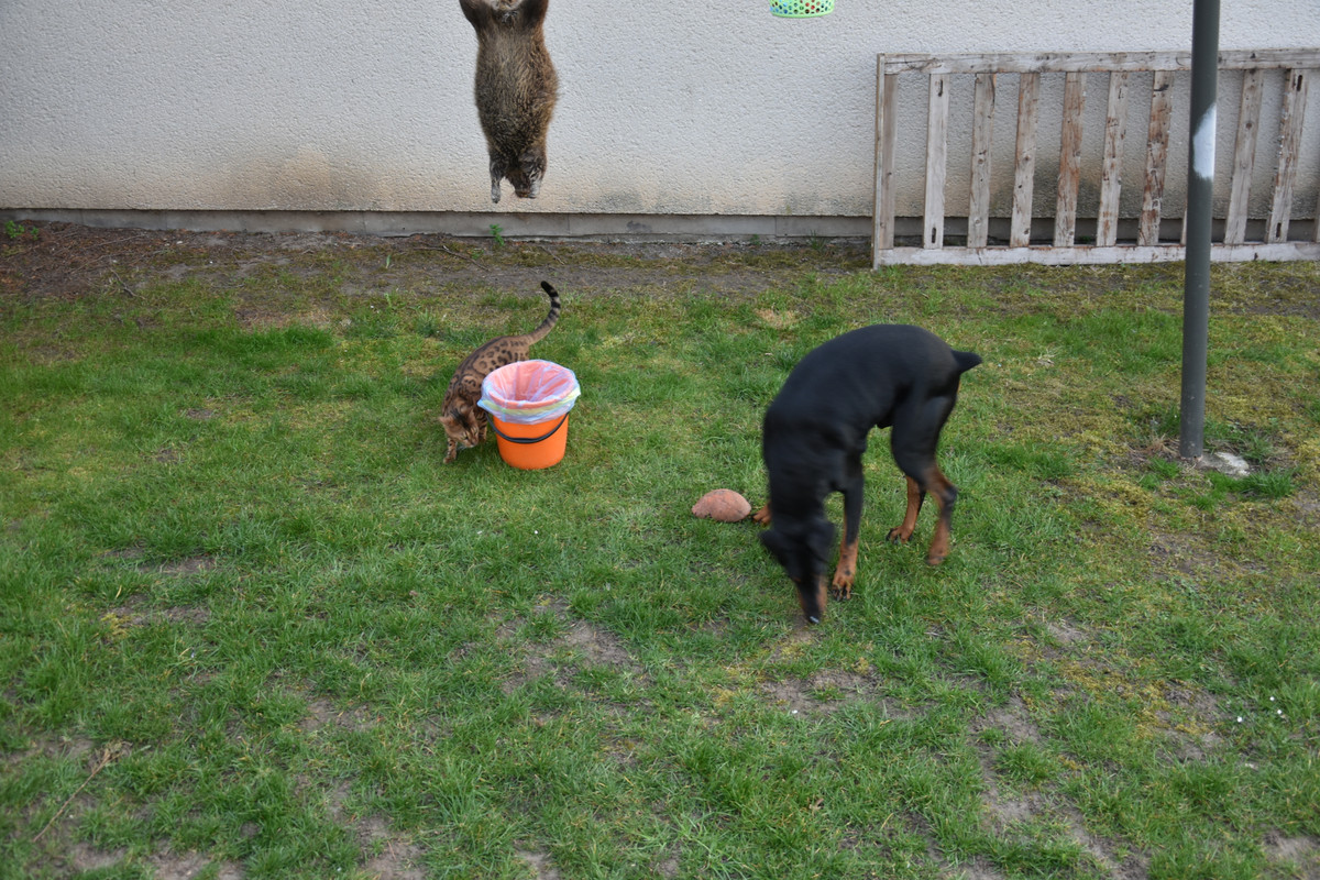 DSC 0308 — Postimages