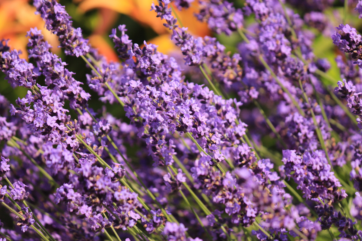 IMG 5057 — Postimages