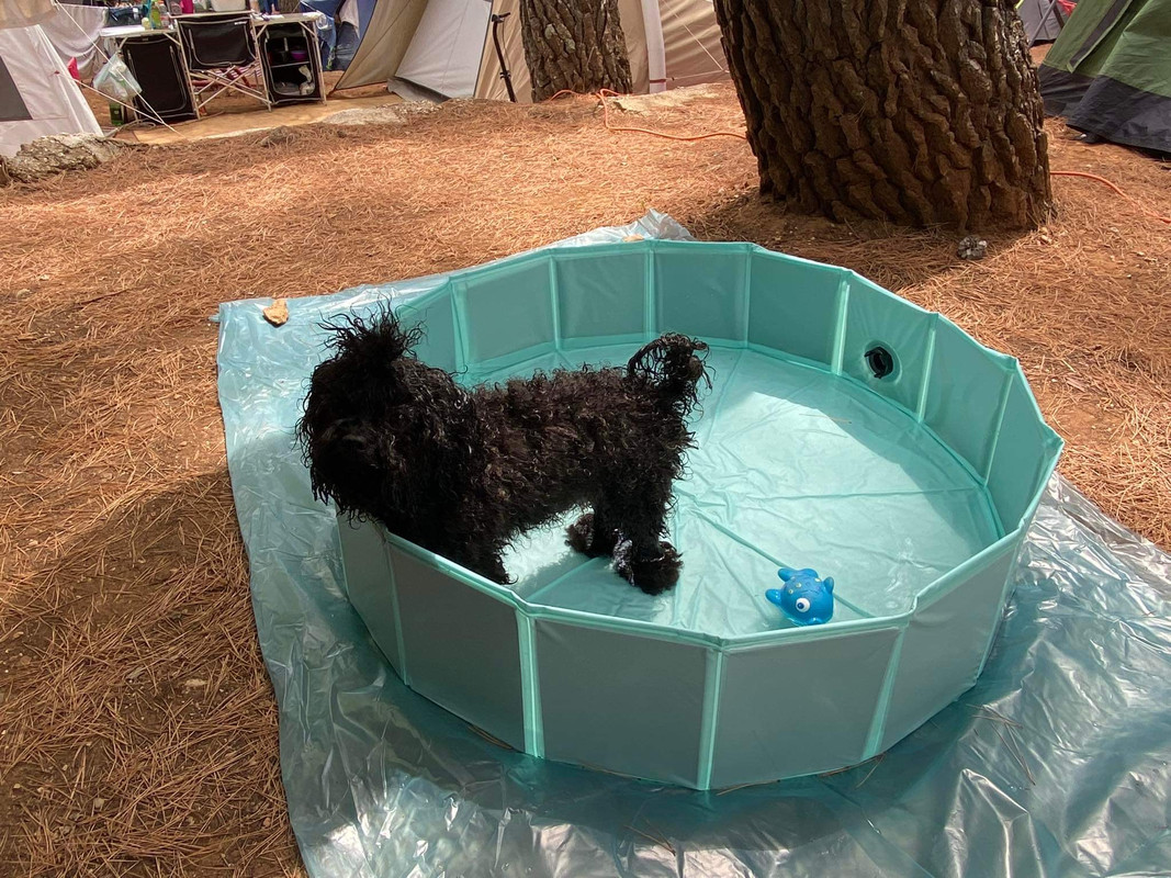 D1736 FEC 296 C 4469 8 F5 F C91 F361082 E9 — Postimages