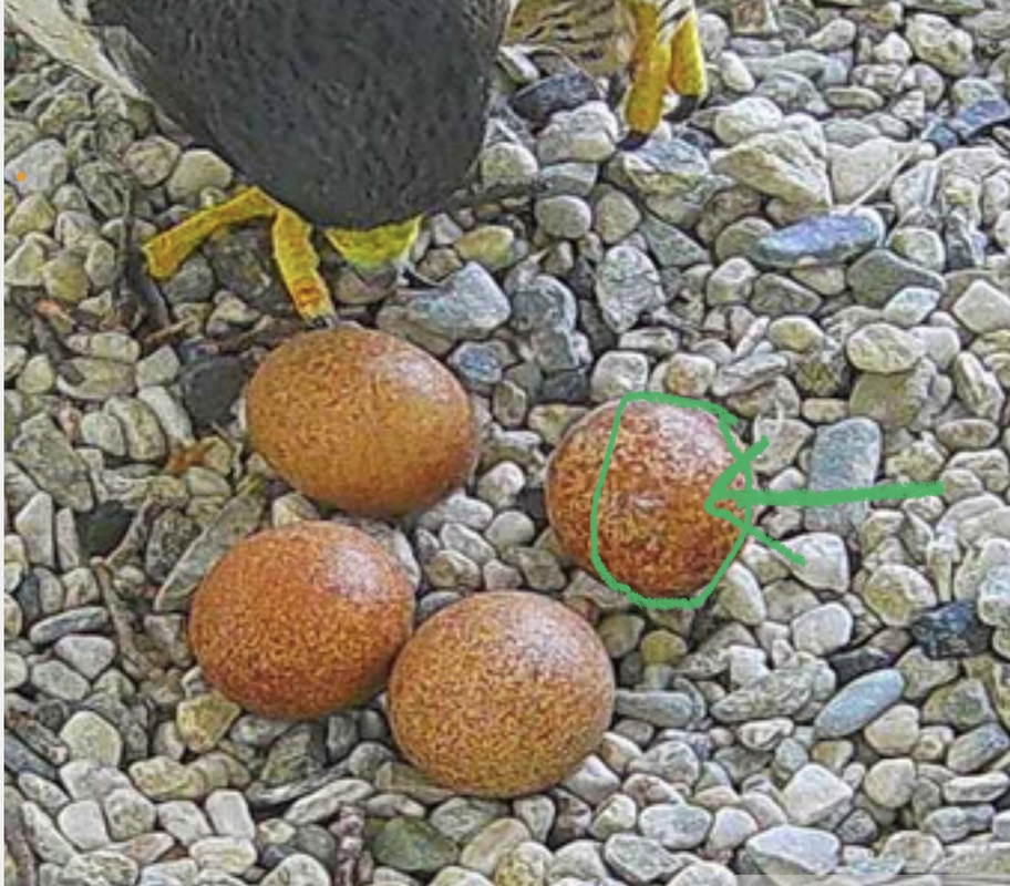 C3163 BE4 DD3 D 43 F6 AF06 E141 AB591886 — Postimages