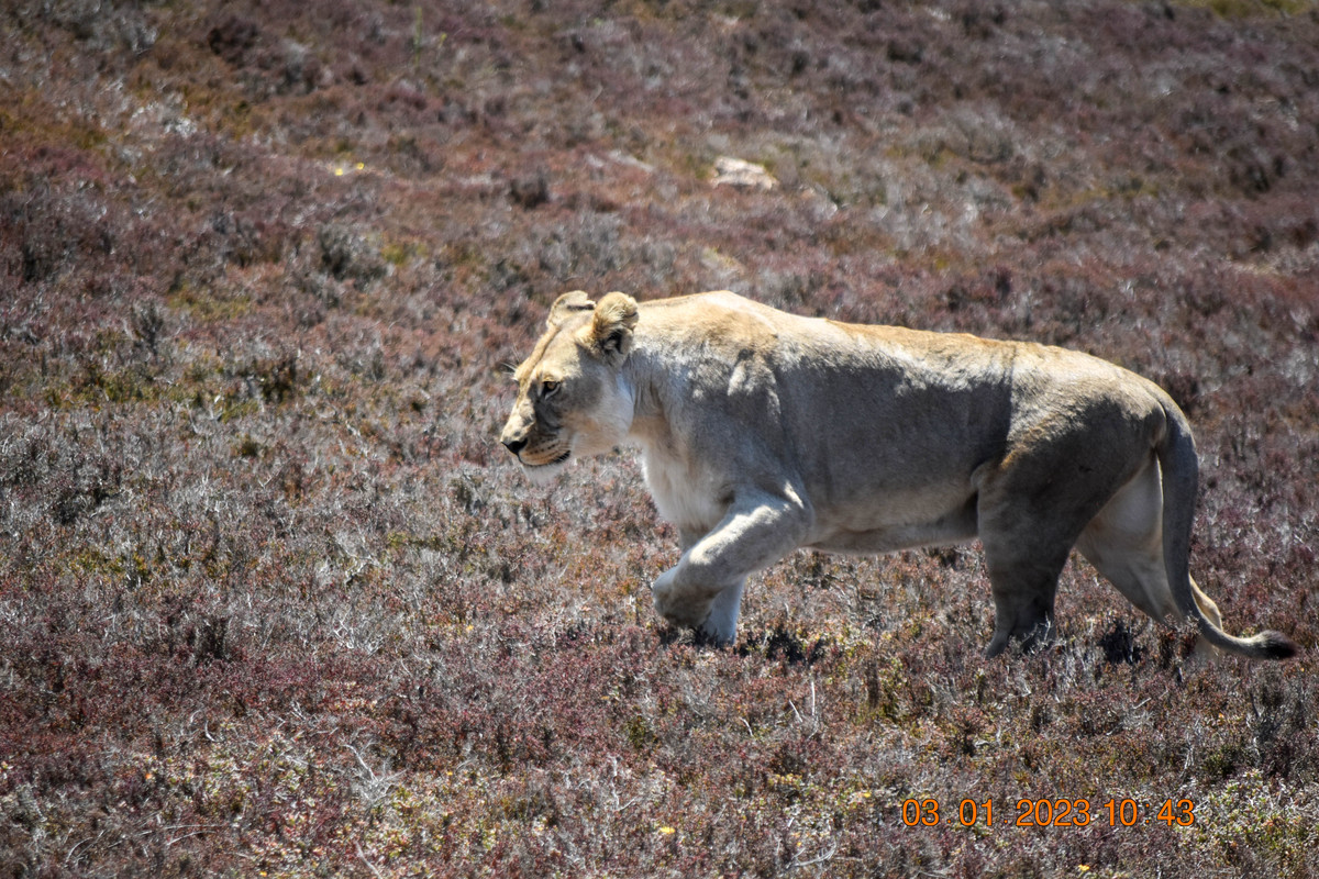 DSC 0362 — Postimages