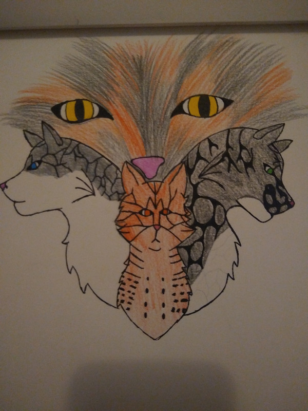 Random — Postimages