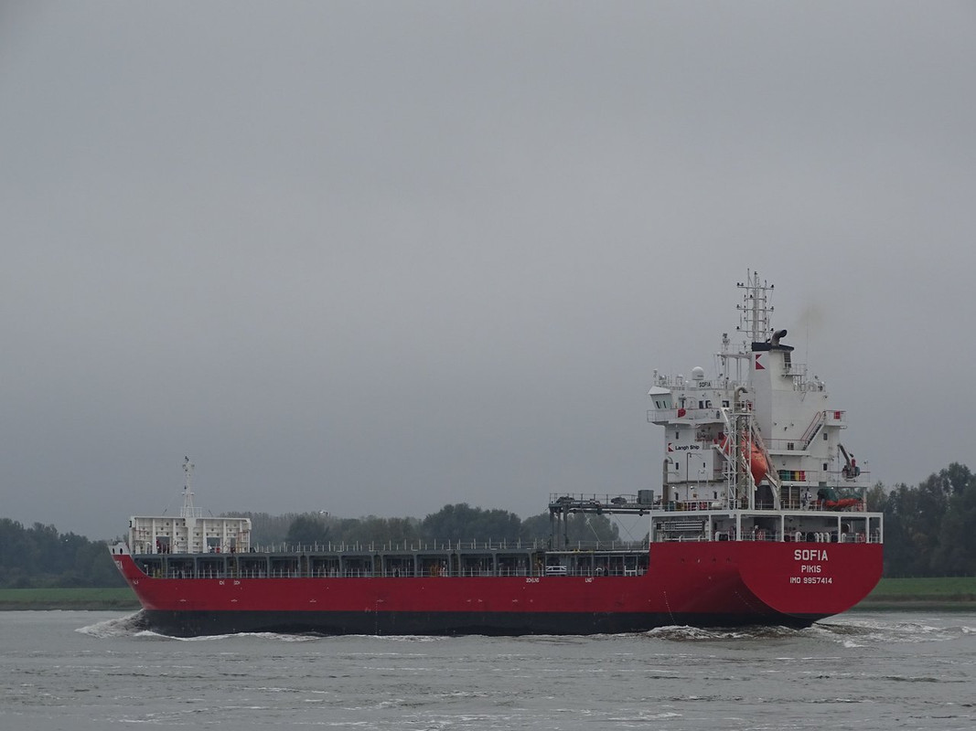 Sofia, 29 10 2024, nr 2 — Postimages