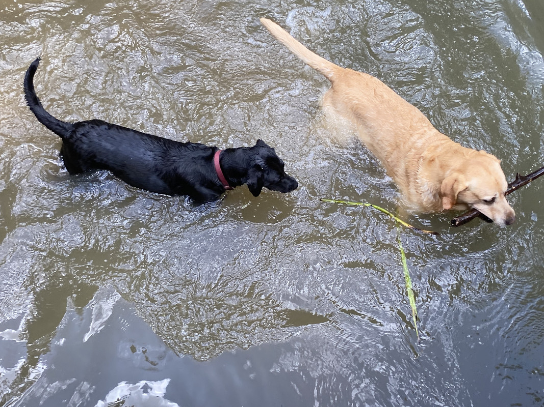 IMG 1877 — Postimages