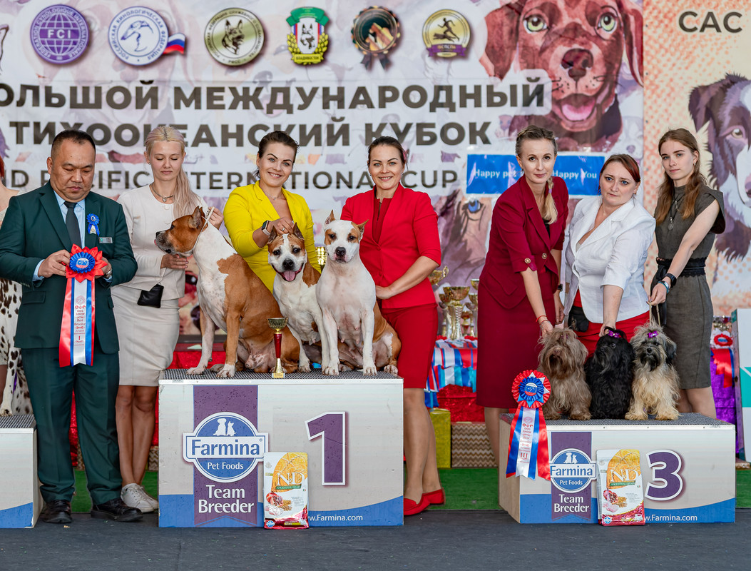 01 511 — Postimages