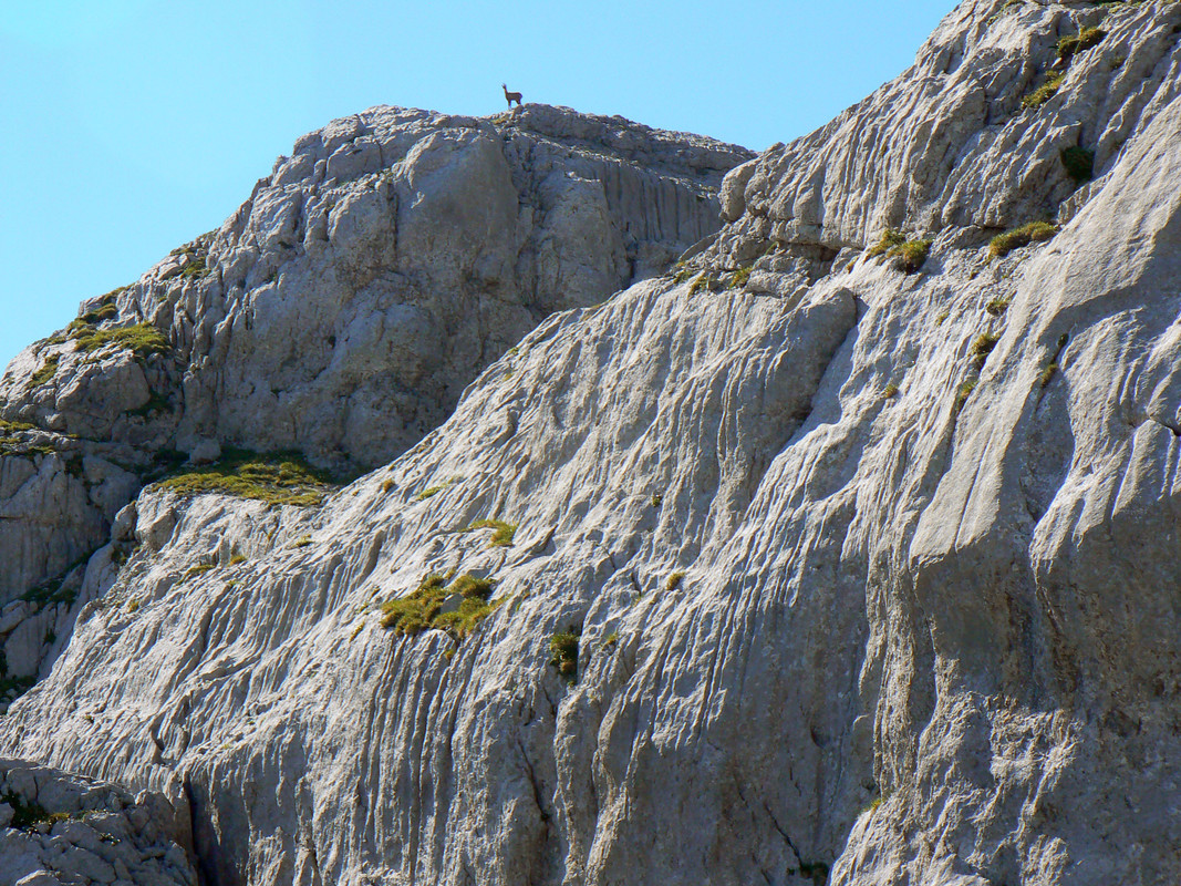 Fcbk 103 012 — Postimages