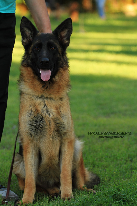 IMG 0430 — Postimages