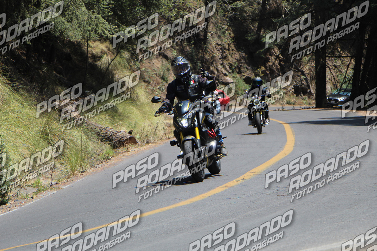 Album — Postimages