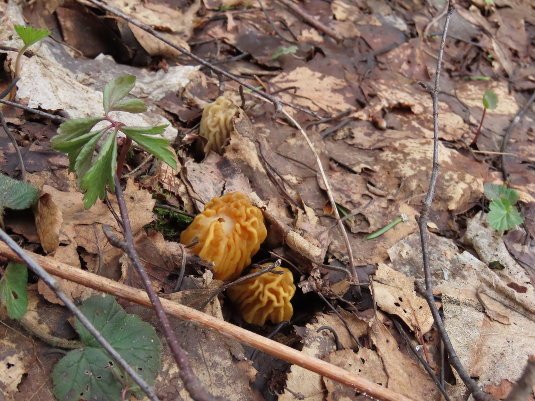 IMG 5844 — Postimages