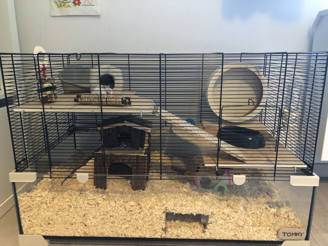 IMG 1022 — Postimages