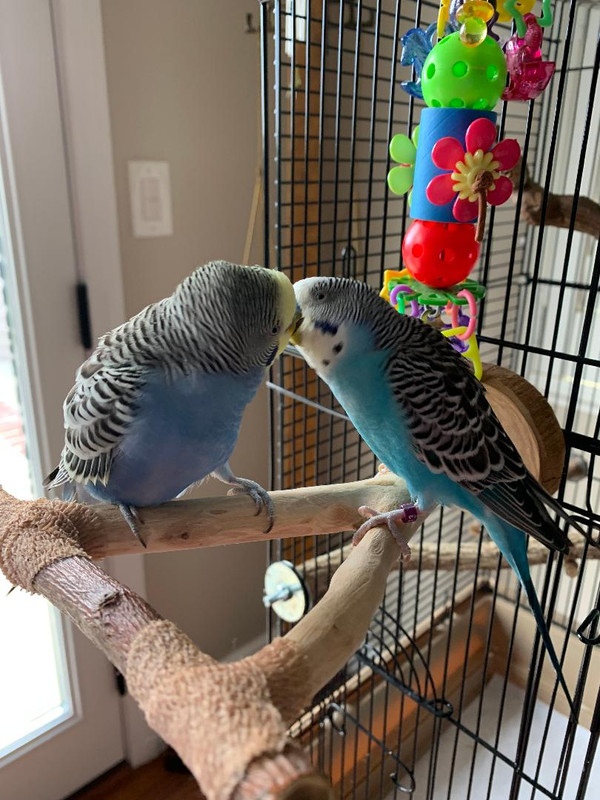 together Jan22 — Postimages